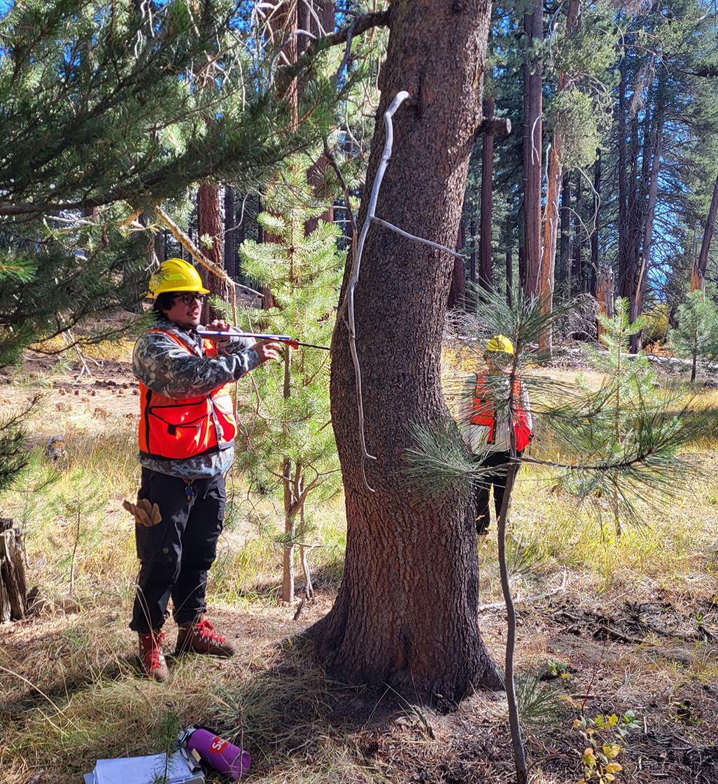 Building a Strong Climate Workforce - Foundation for California ...
